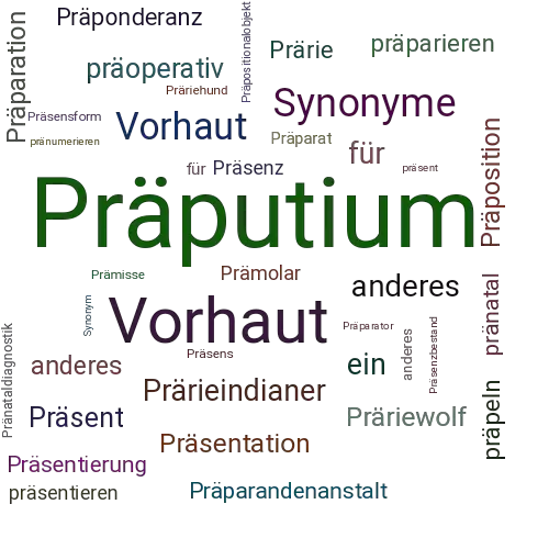PRÄPUTIUM Synonym-Lexikothek • ein anderes Wort für Präputium